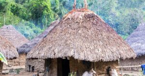La historia del pueblo de los Wiwas -Todo lo que debes saber