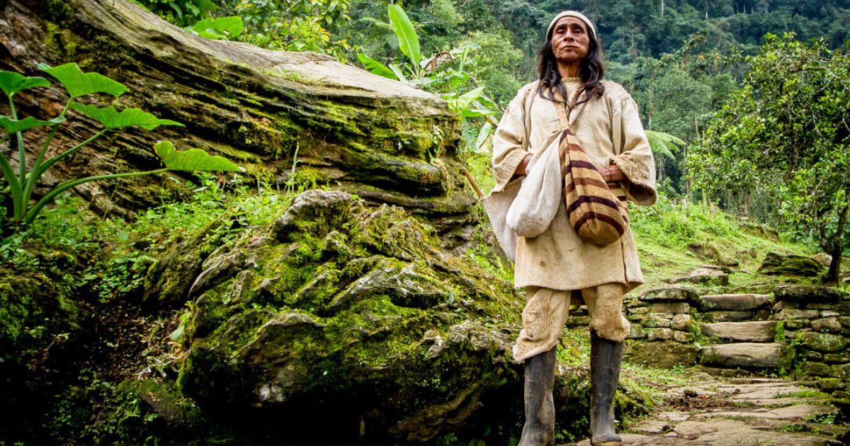 La historia del pueblo de los Wiwas -Todo lo que debes saber